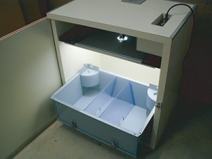 Social interaction test | O’HARA & CO.,LTD.